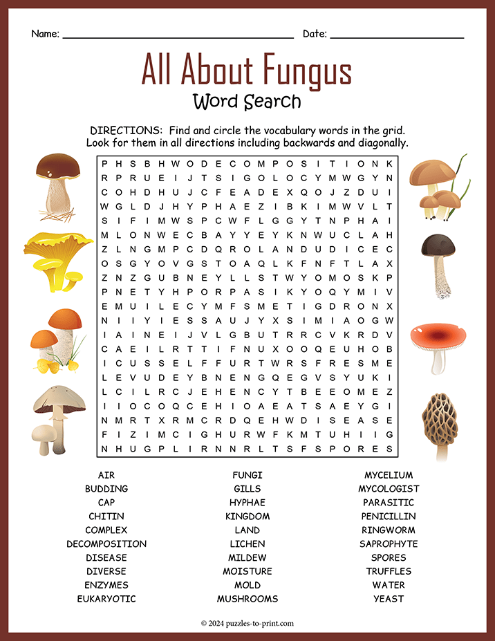 All About Fungus Word Search