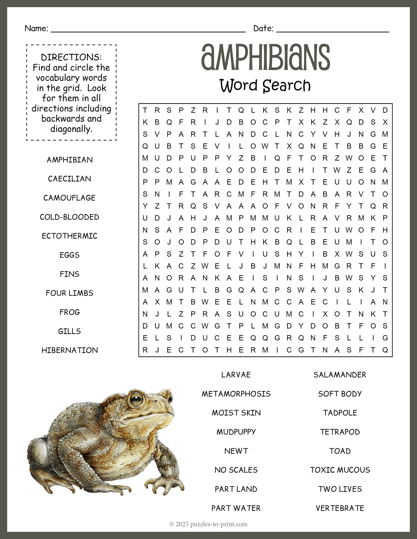 Amphibians Word Search - Free Printable (Easy & Challenging)