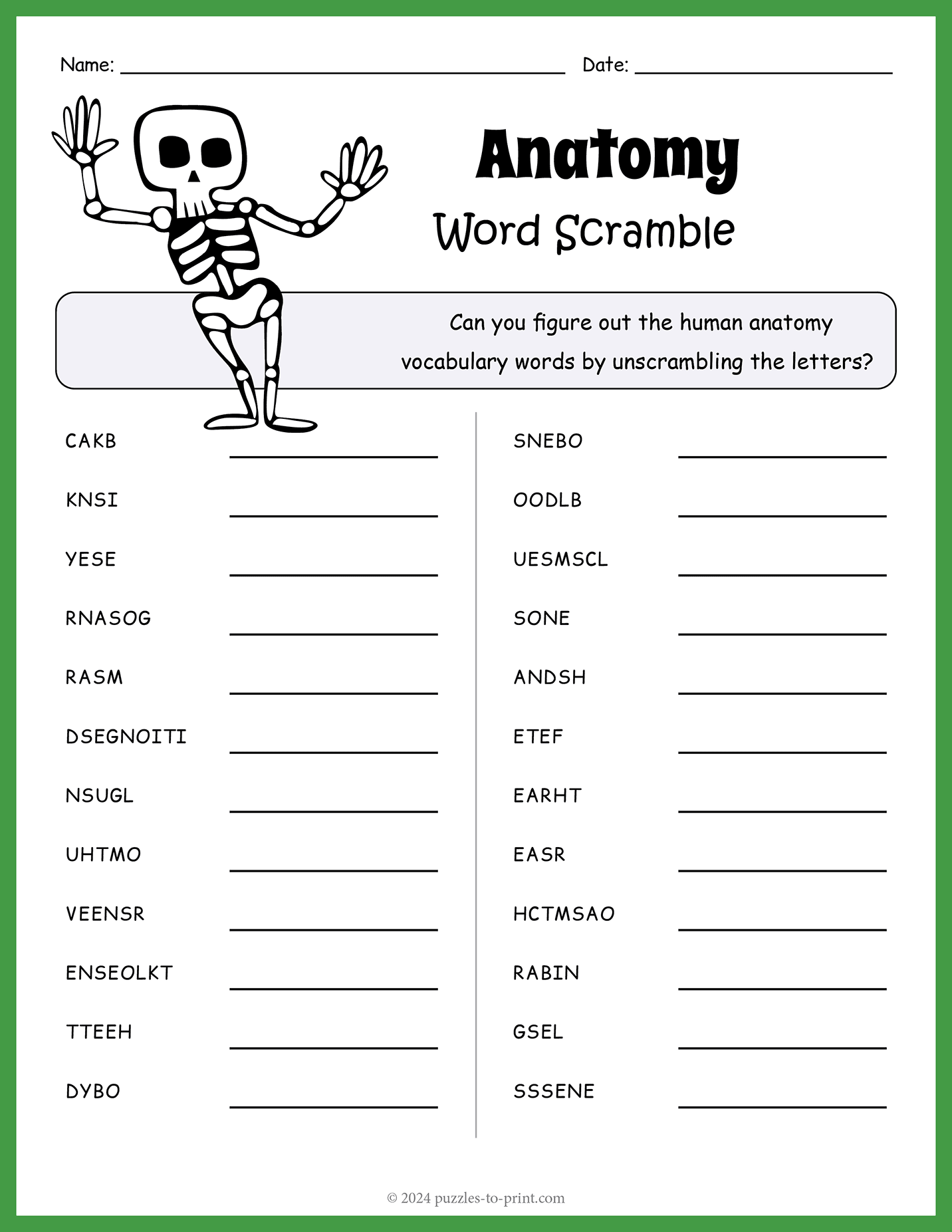 Anatomy Word Scramble