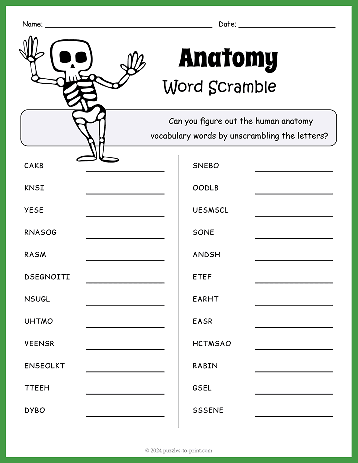 Anatomy Word Scramble
