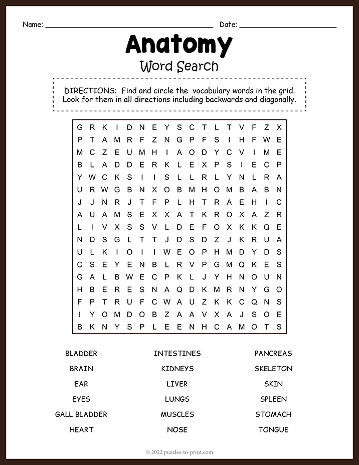 Anatomy Word Search