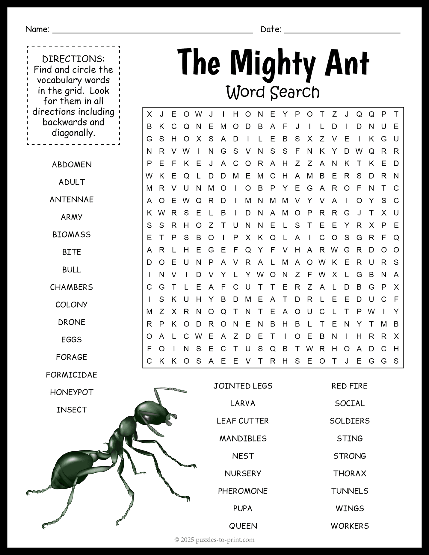 Ants Word Search - Free Printable (Easy & Challenging)