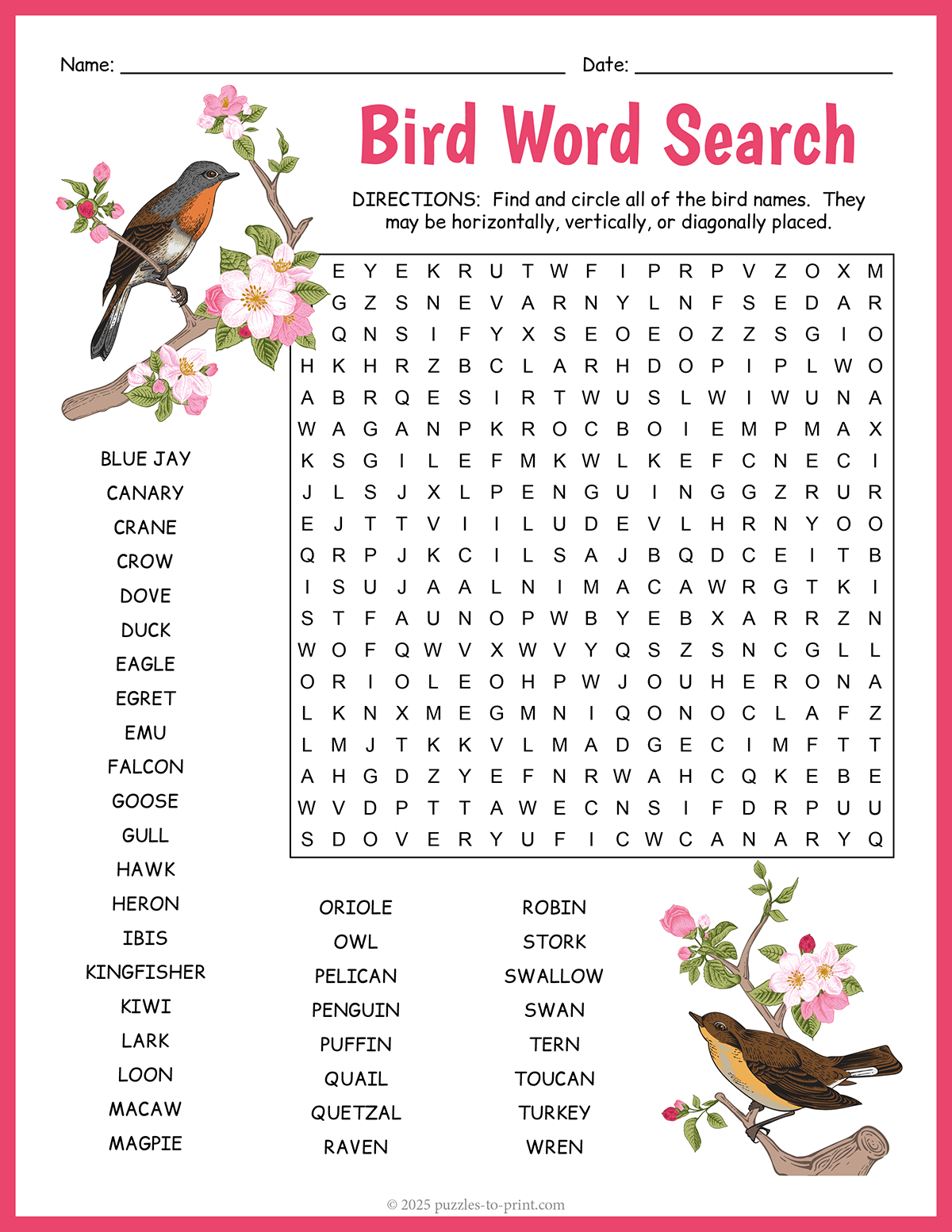 Bird Word Search - Free Printable (Easy & Challenging)