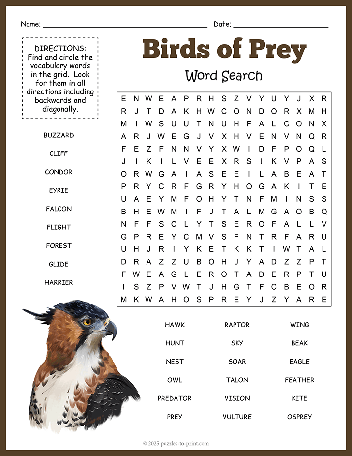 Birds of Prey Word Search - Free Printable (Easy & Challenging)