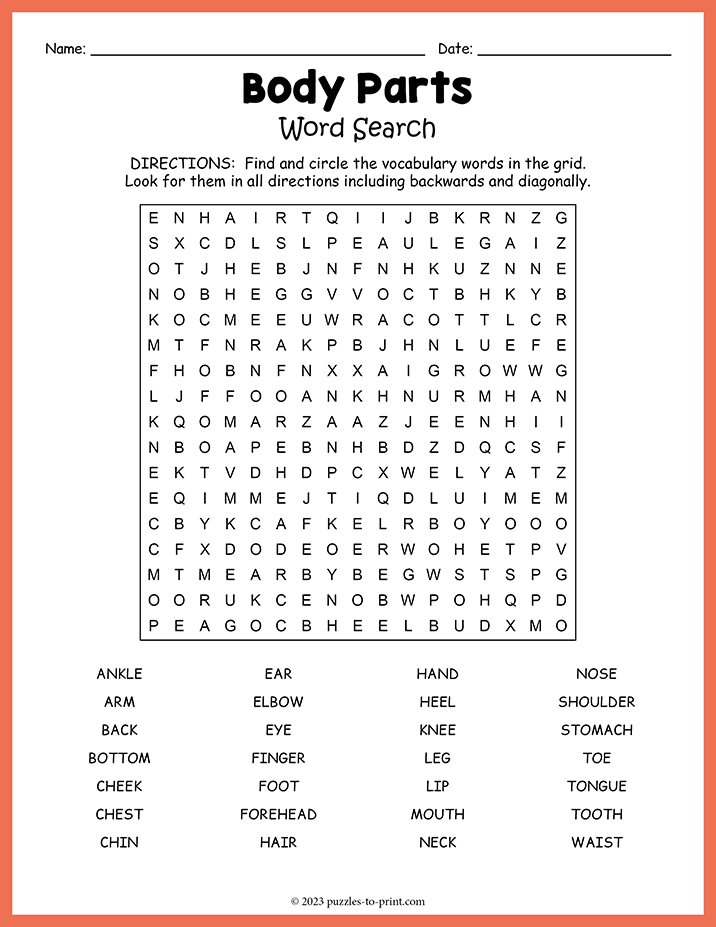 Body Parts Word Search