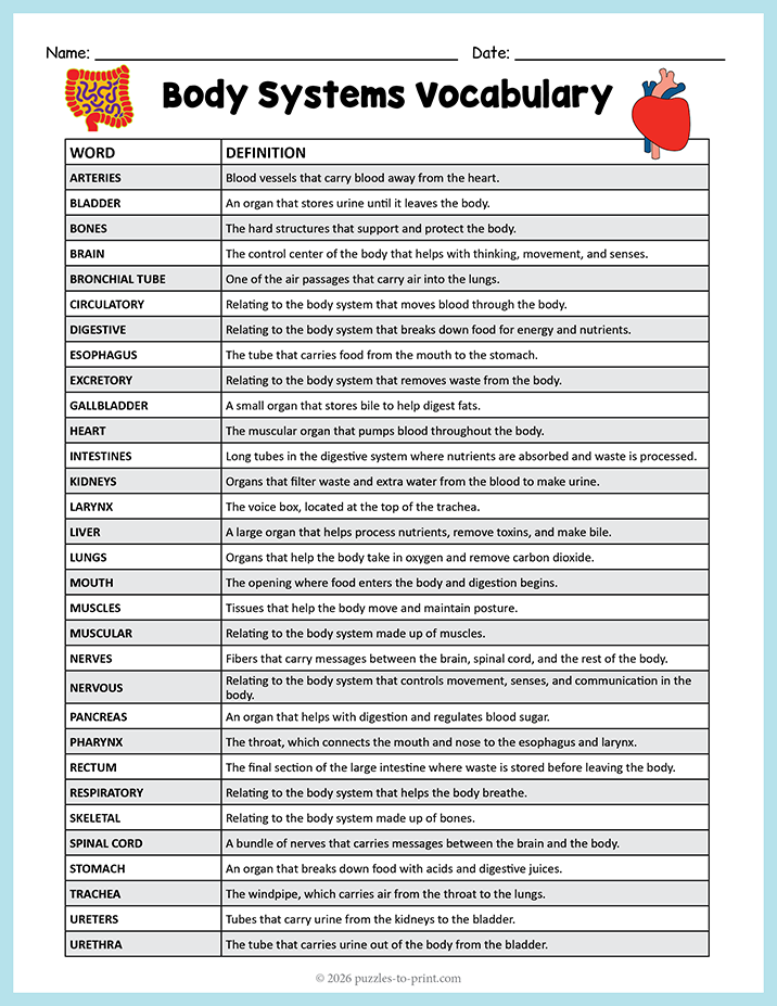 Body Systems Vocabulary - Free Printable Terms and Definitions