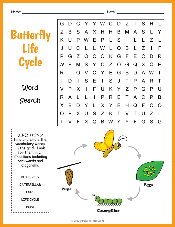 Butterfly Life Cycle Word Search