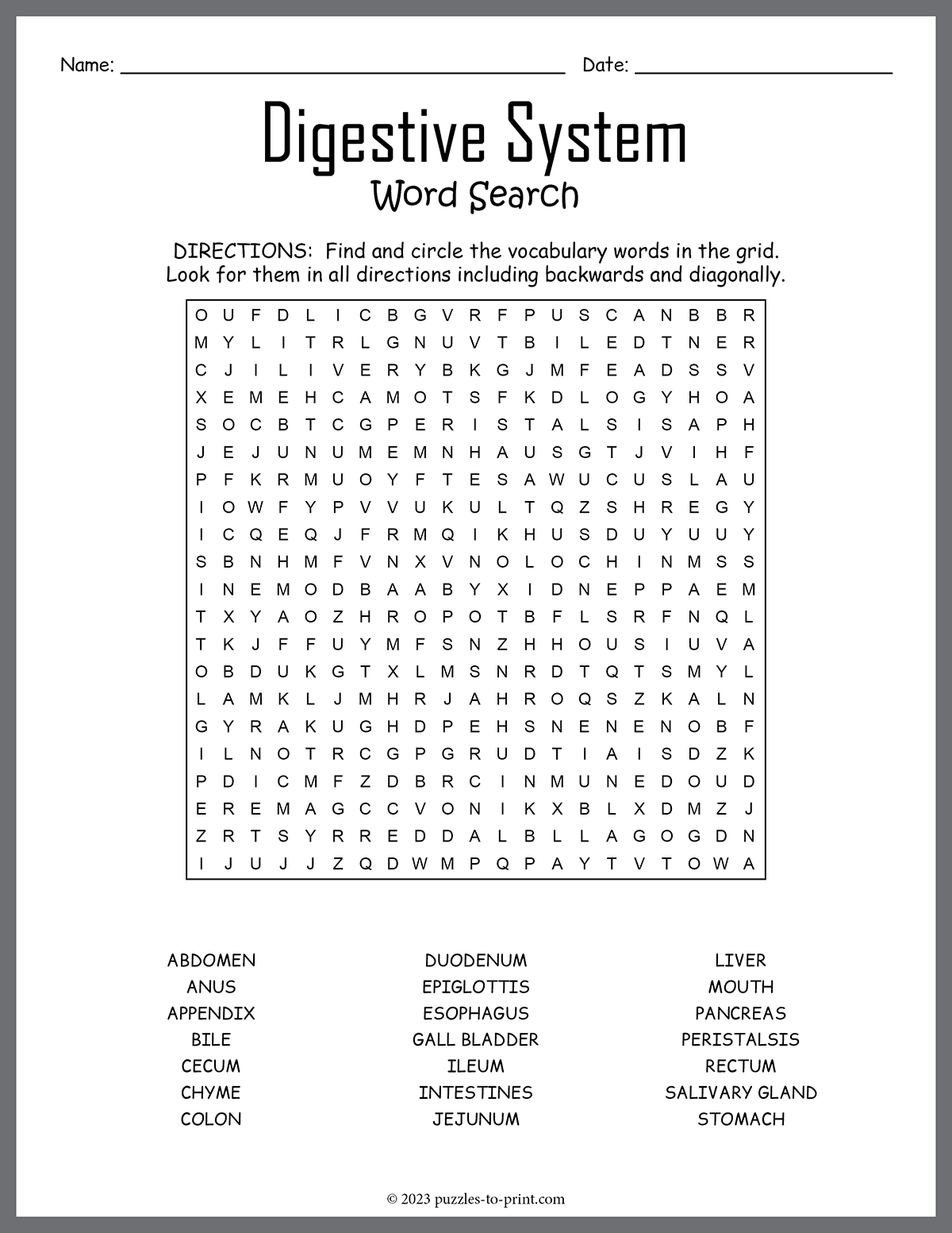 Human Digestive System Word Search Puzzle By Puzzles To Print Tpt