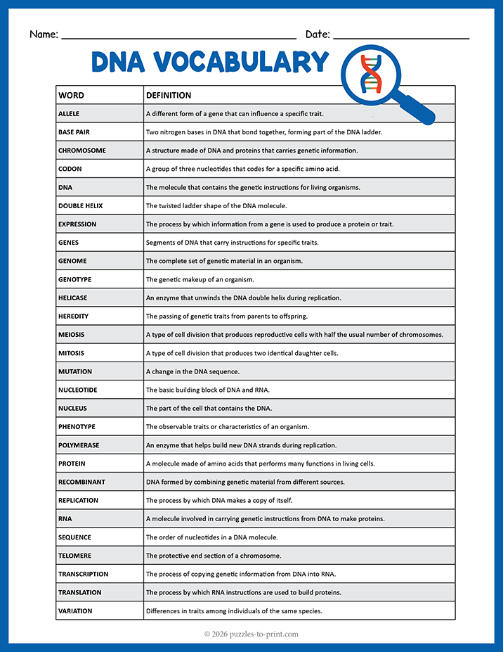 DNA Vocabulary - Free Printable Terms and Definitions