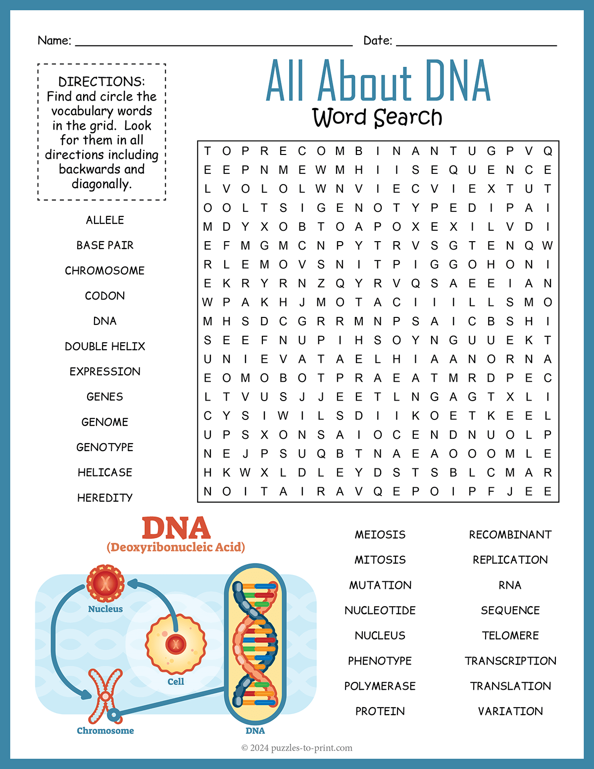 DNA Word Search