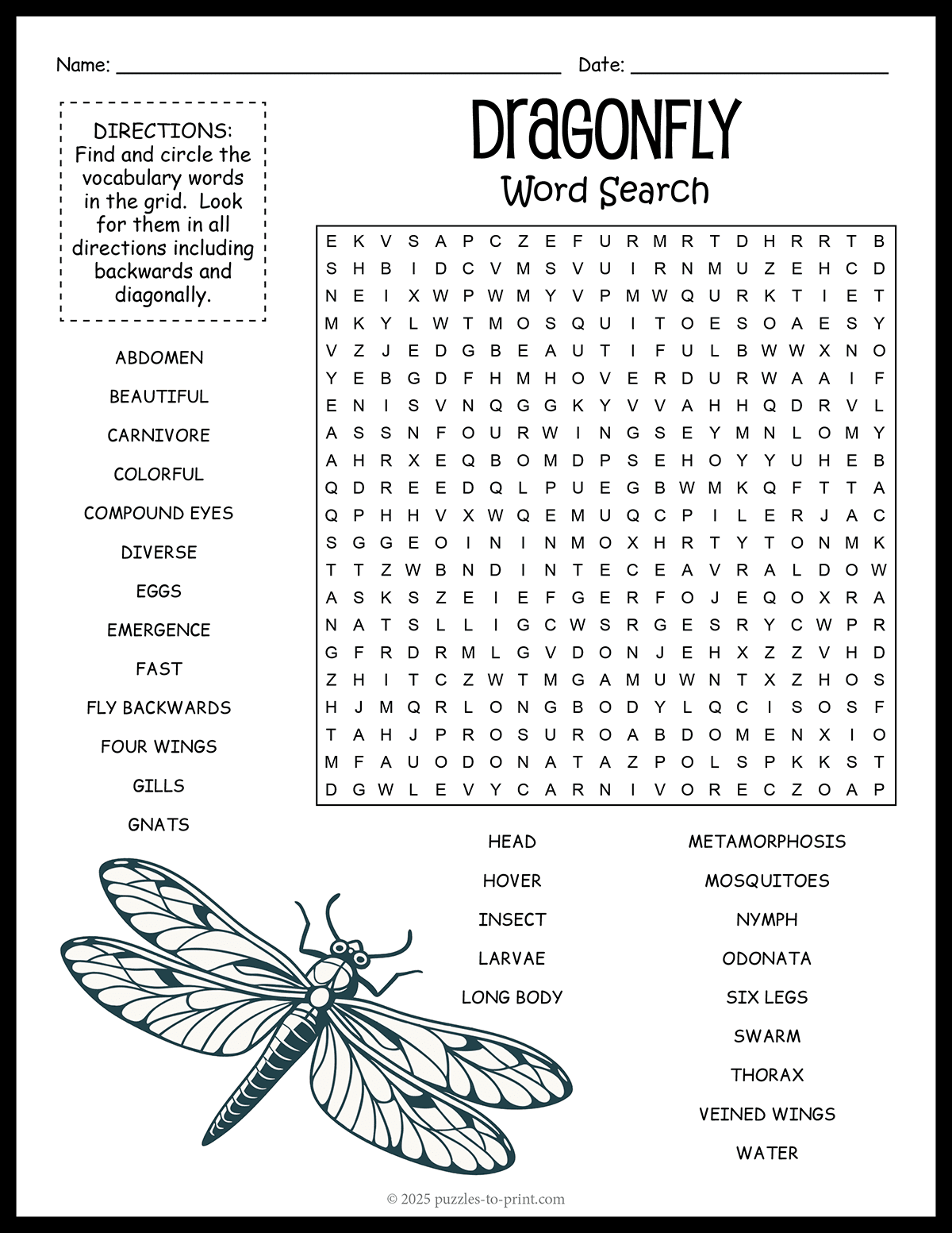 Dragonfly Word Search - Free Printable (Easy & Challenging)