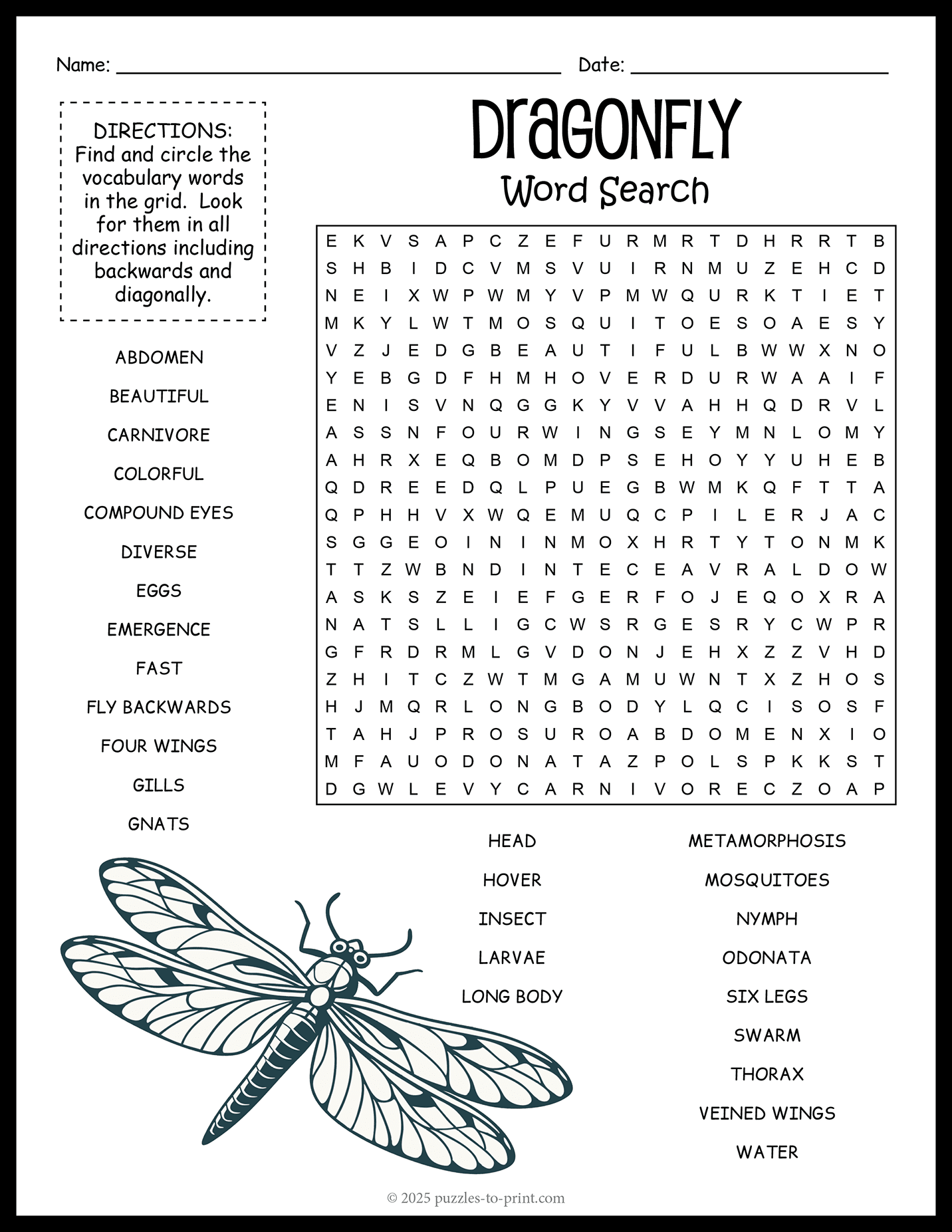 Dragonfly Word Search - Free Printable (Easy & Challenging)