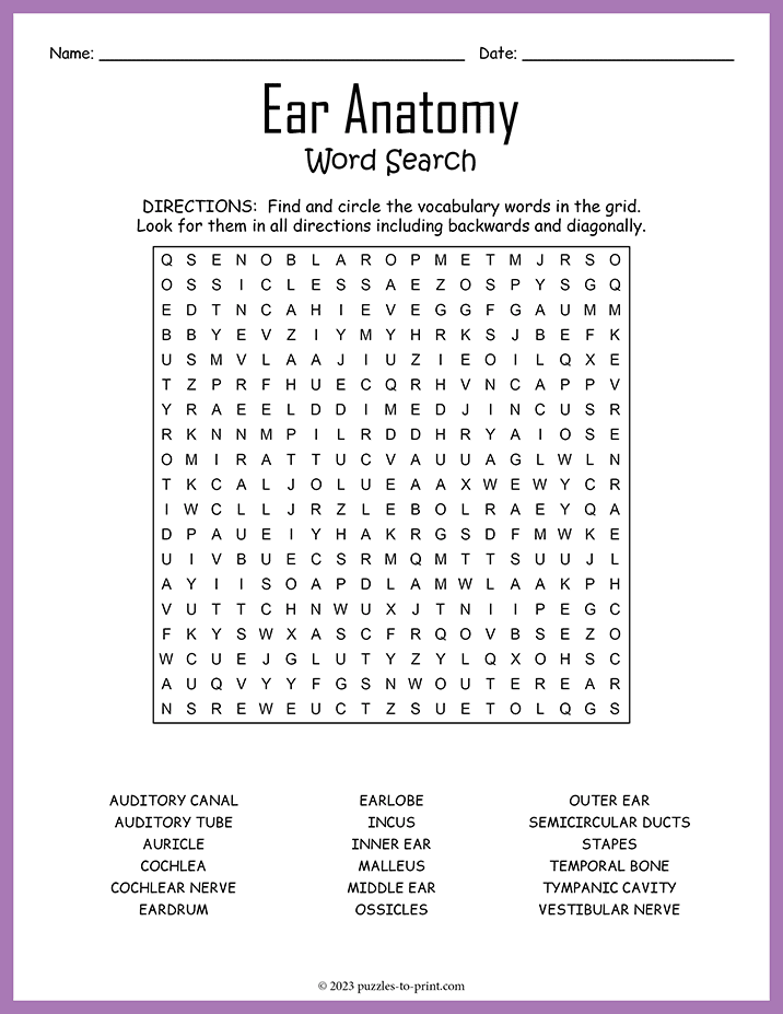 Ear Anatomy Word Search