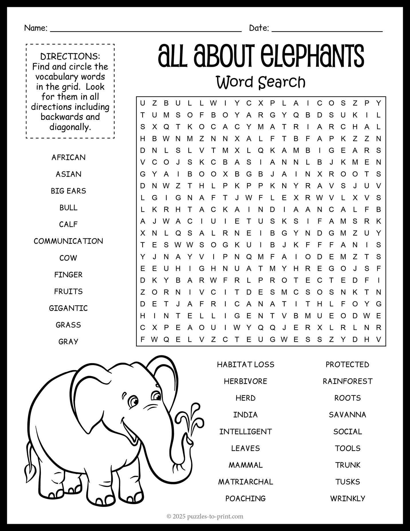 Elephant Word Search - Free Printable (Easy & Challenging)