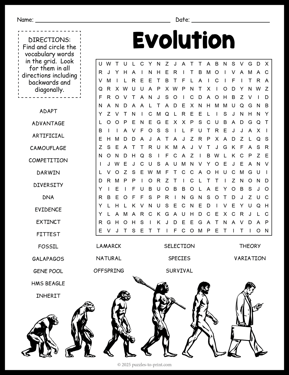 Evolution Word Search
