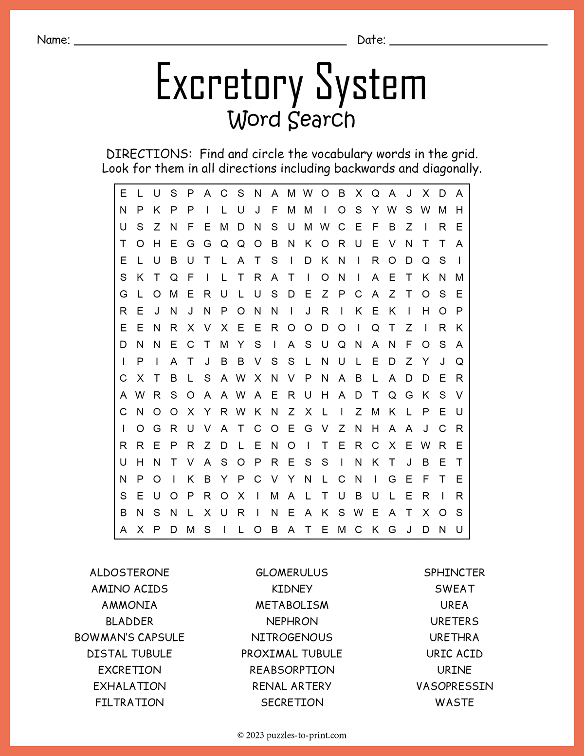 Excretory System Word Search