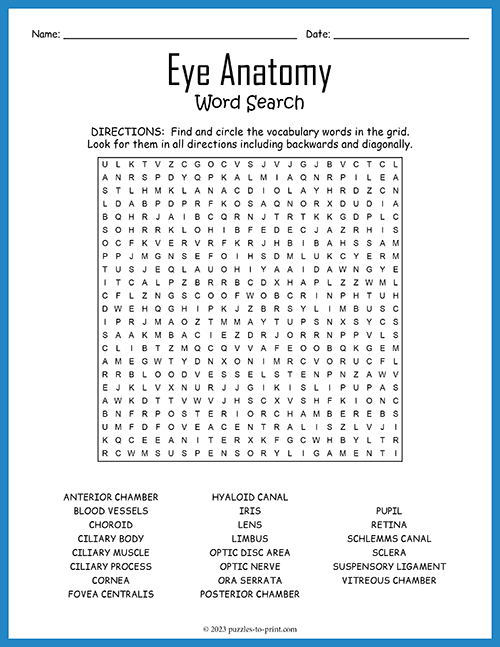 Eye Anatomy Word Search