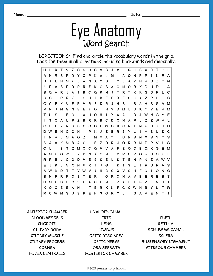 Eye Anatomy Word Search