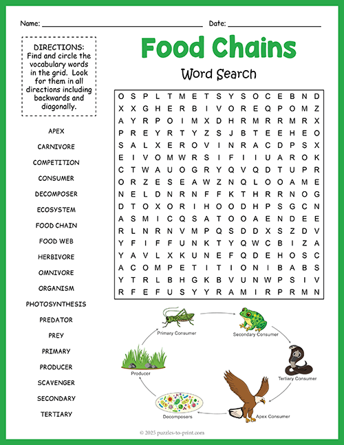 Food Chains Word Search