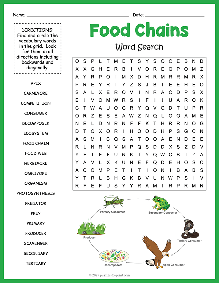 Food Chains Word Search