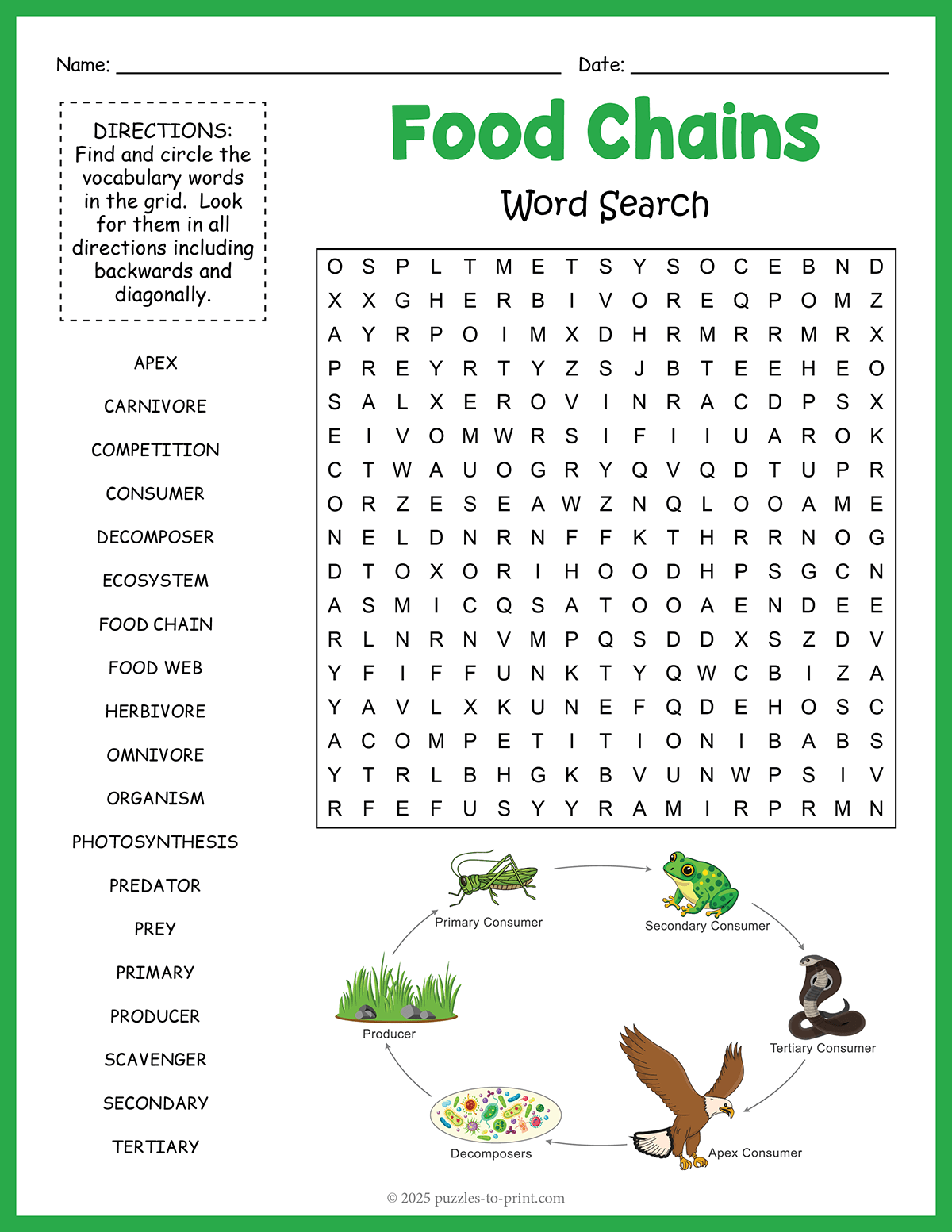 Food Chains Word Search Food Chains Word Search
