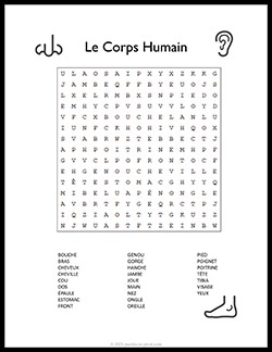 French Body Part Word Search