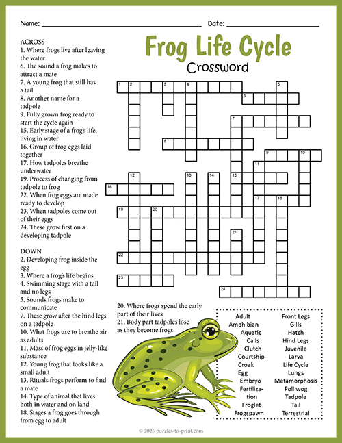 Frog Life Cycle Crossword