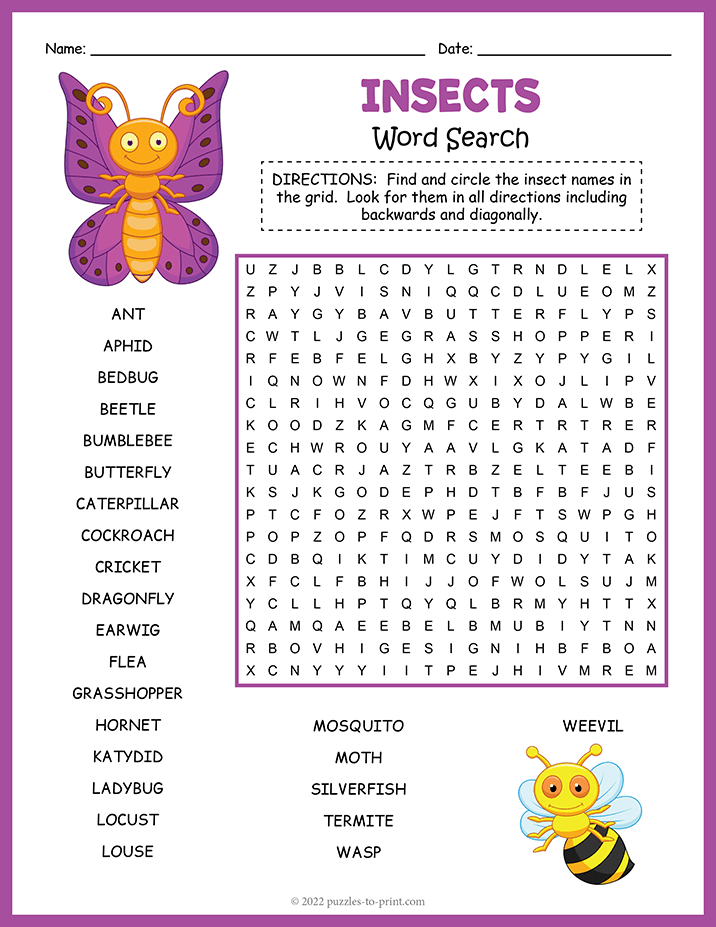 Insect Word Search