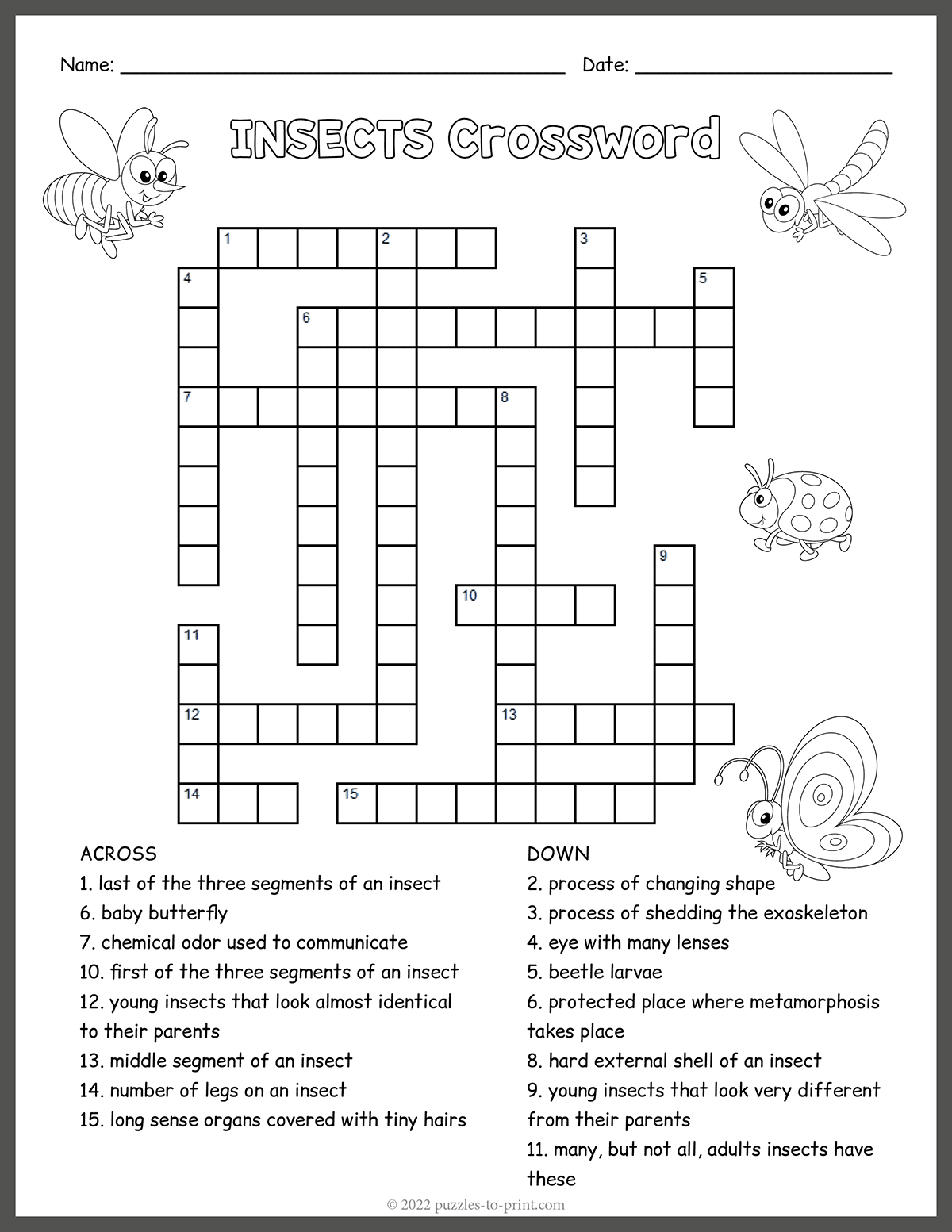 Insects Crossword