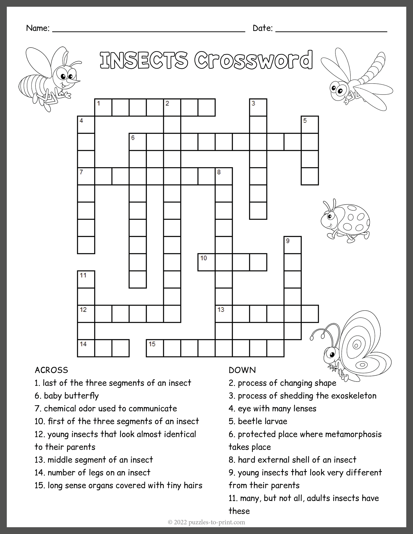 Insects Crossword