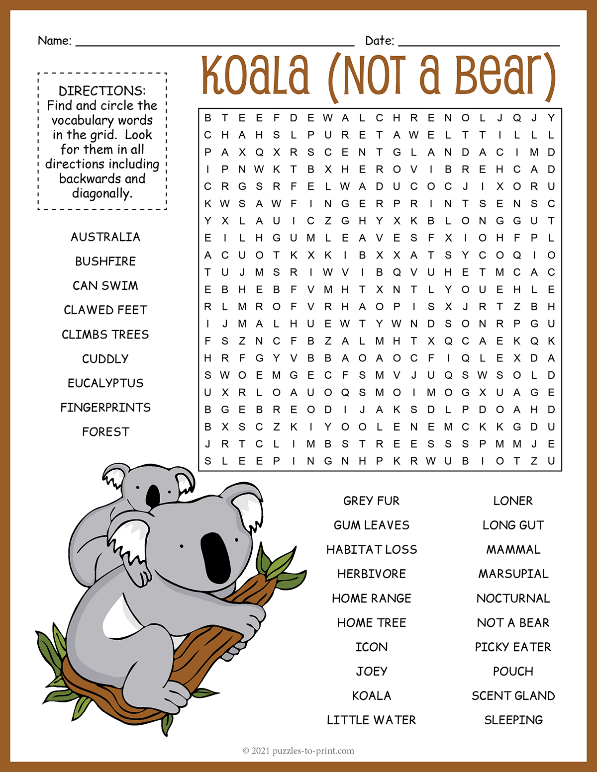 Koala Word Search - Free Printable (Easy & Challenging)