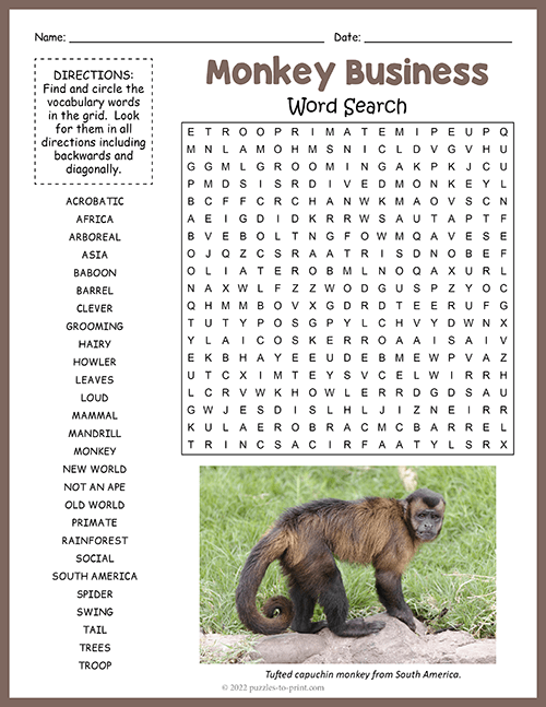 Monkey Word Search - Free Printable (Easy & Challenging)