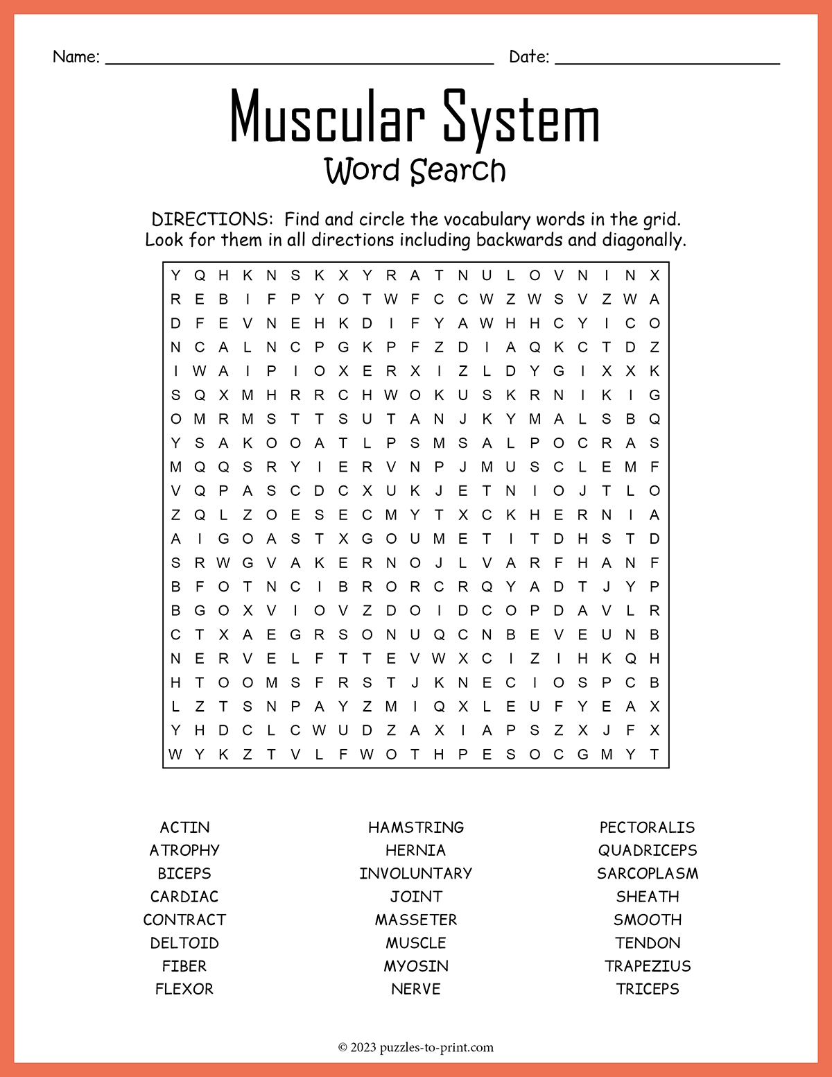 Muscular System Word Search