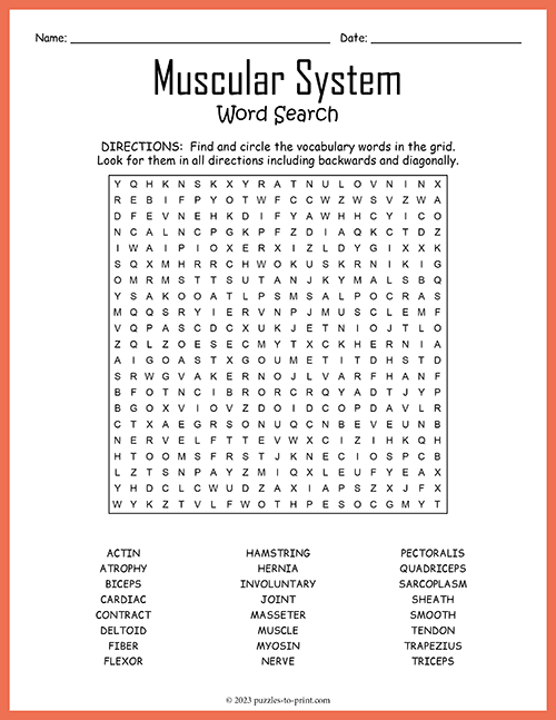 Muscular System Word Search