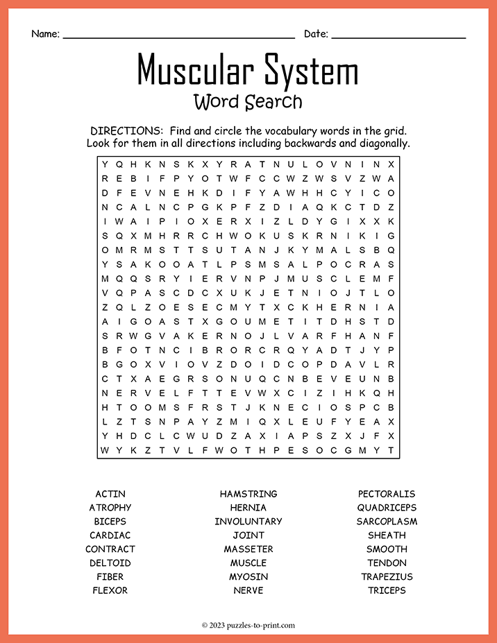 Muscular System Word Search