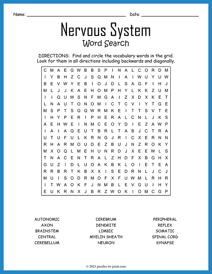 Nervous System Word Search