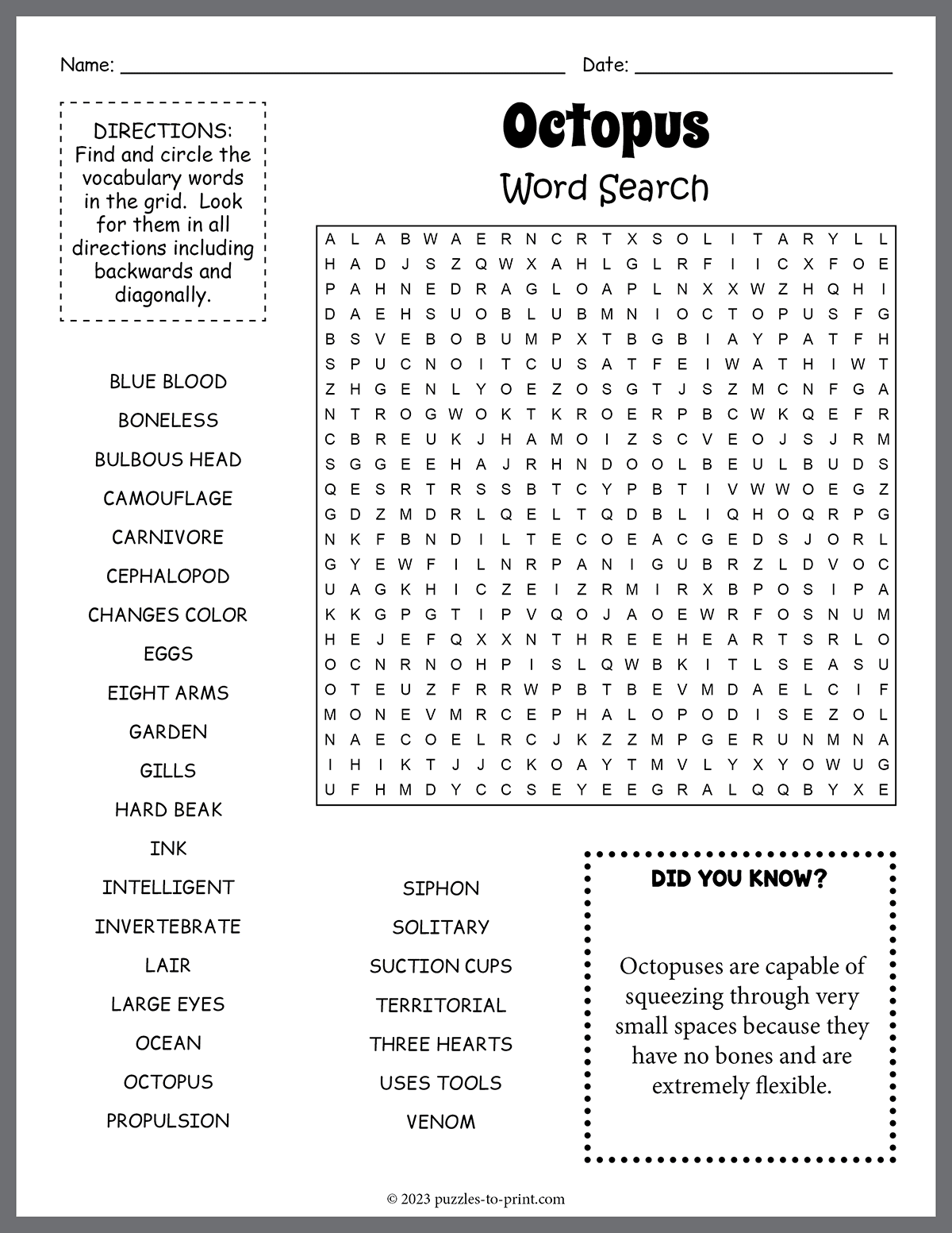 Octopus Word Search - Free Printable (Easy & Challenging)