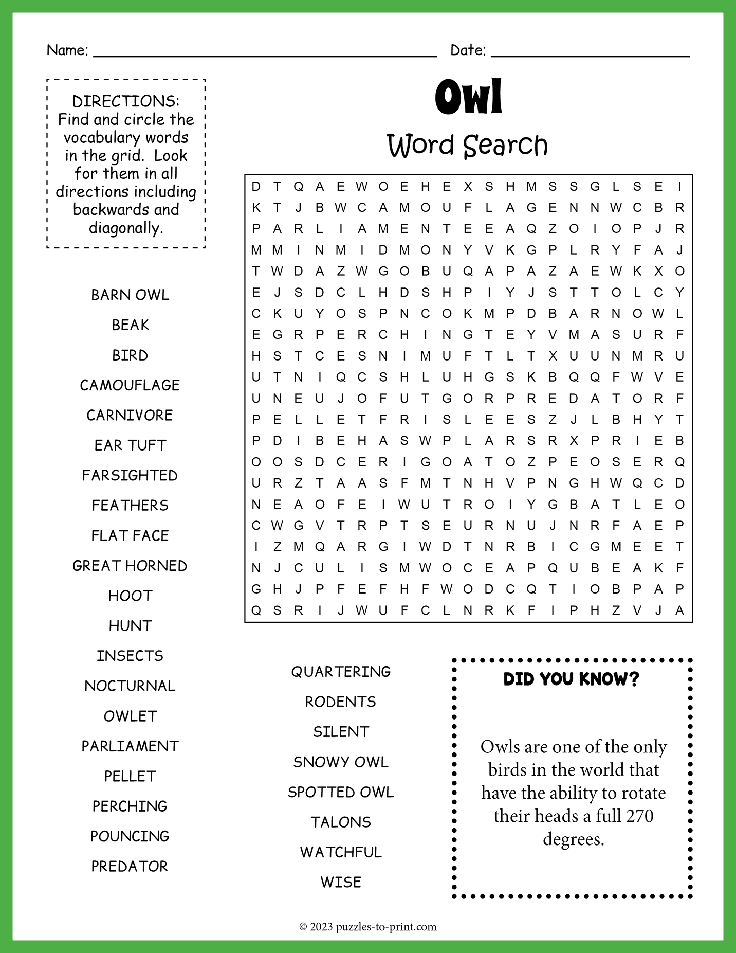 Owl Word Search - Free Printable (Easy & Challenging)