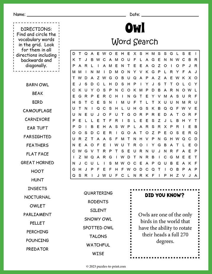 Owl Word Search - Free Printable (Easy & Challenging)