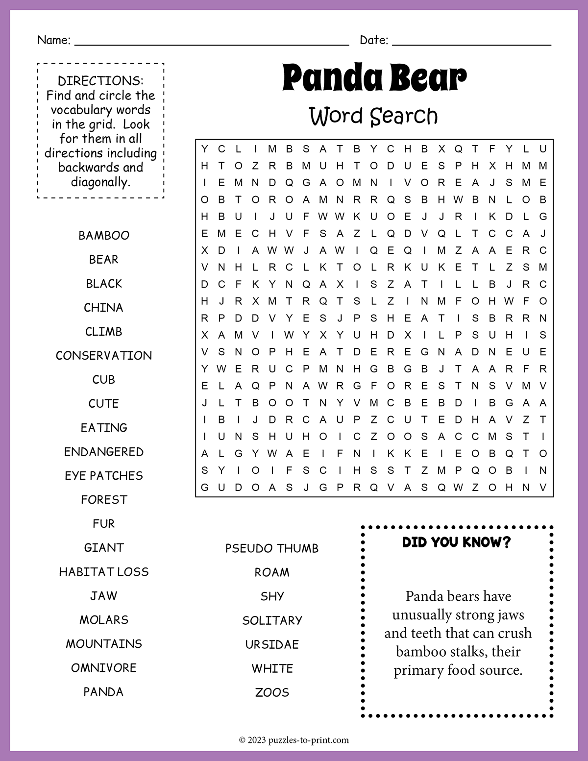 Panda Bear Word Search - Free Printable (Easy & Challenging)