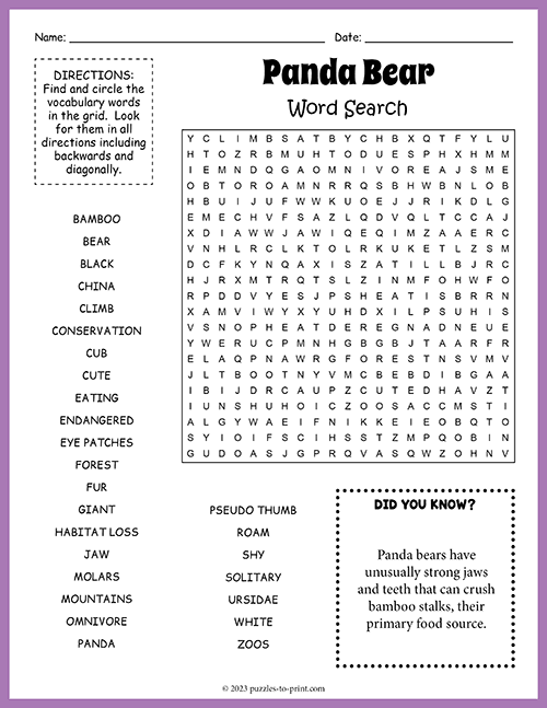 Panda Bear Word Search - Free Printable (Easy & Challenging)