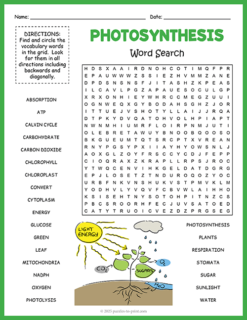 Photosynthesis Word Search