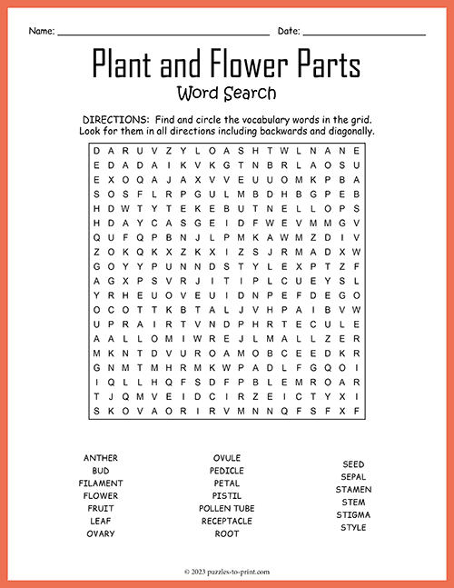 Plant and Flower Parts Word Search