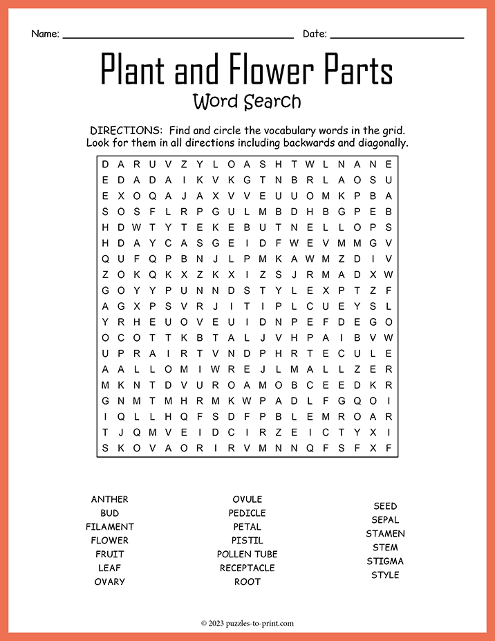 Plant and Flower Parts Word Search