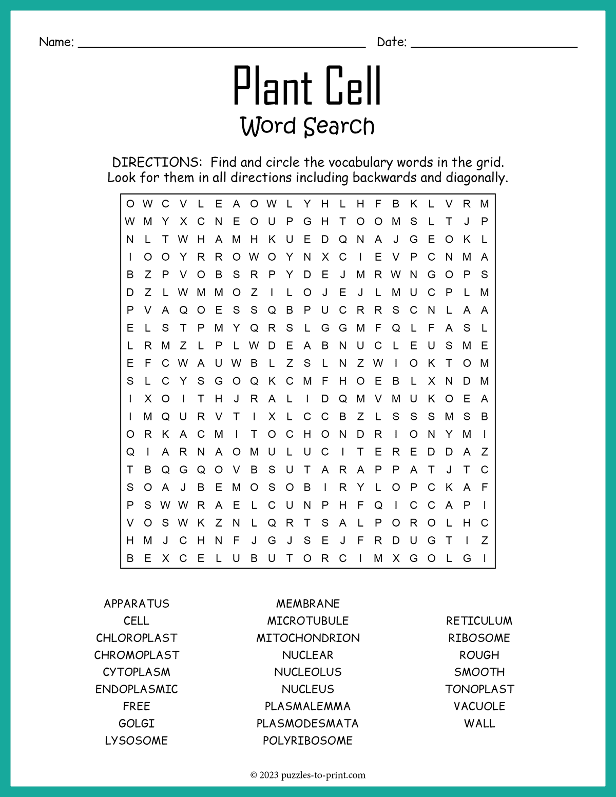 Plant Cell Worksheet Free Printable