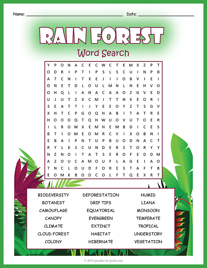 Rainforest Word Search