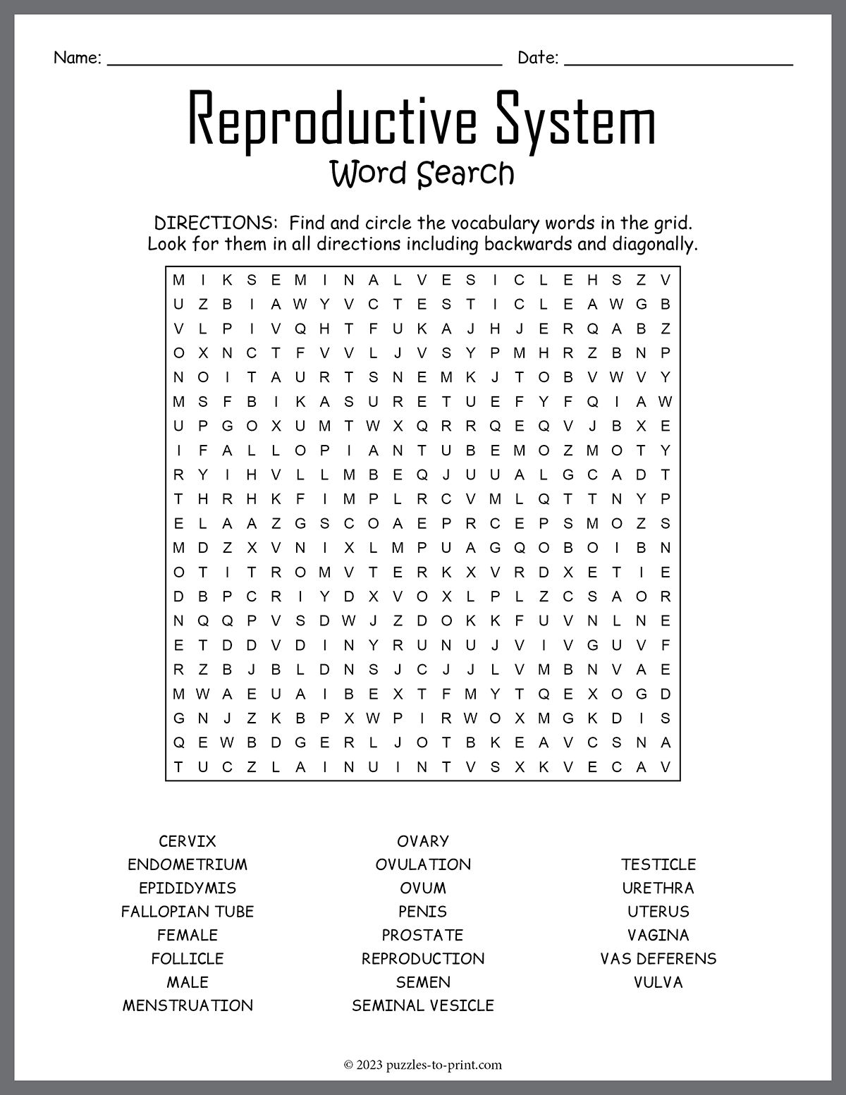 Reproductive System Word Search