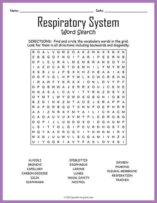 Respiratory System Word Search