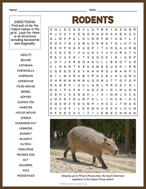 Types of Rodents Word Search - Free Printable (Easy & Challenging)