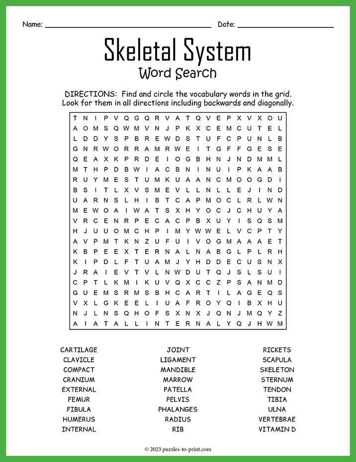 Skeletal System Word Search
